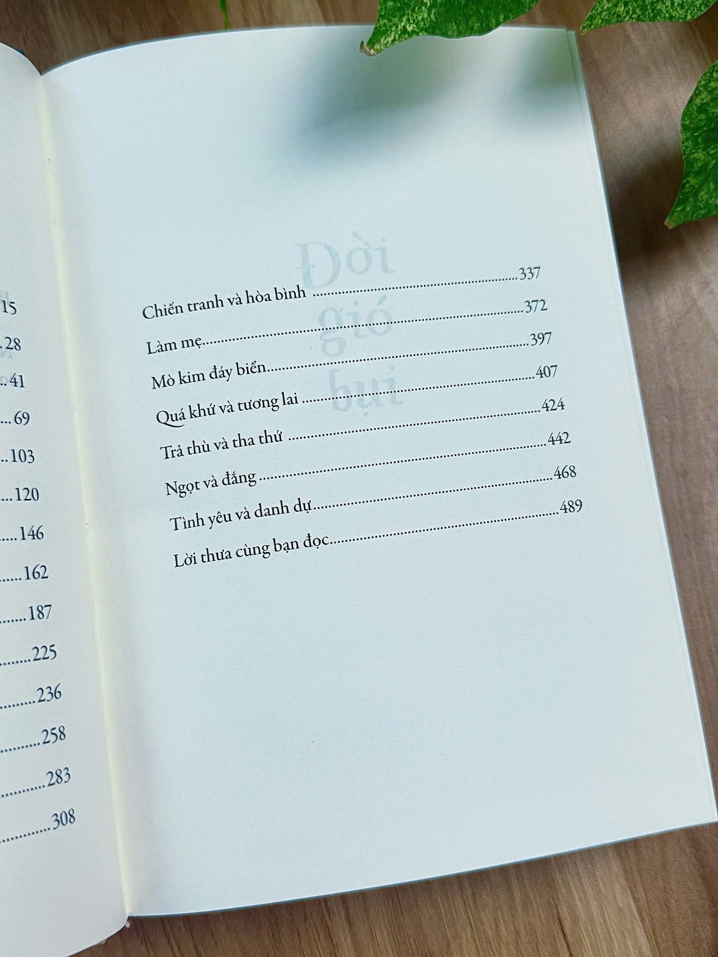 PRE-ORDER: Đời gió bụi, Translation of Dust Child – VietCan Books