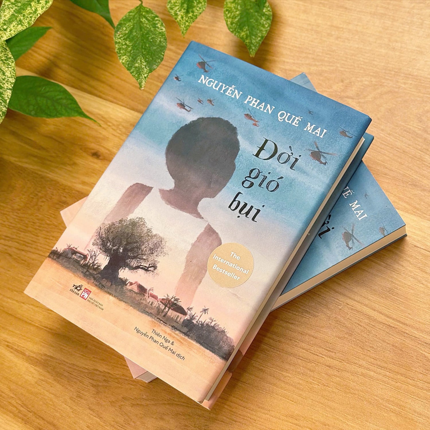 PRE-ORDER: Đời gió bụi, Translation of Dust Child – VietCan Books