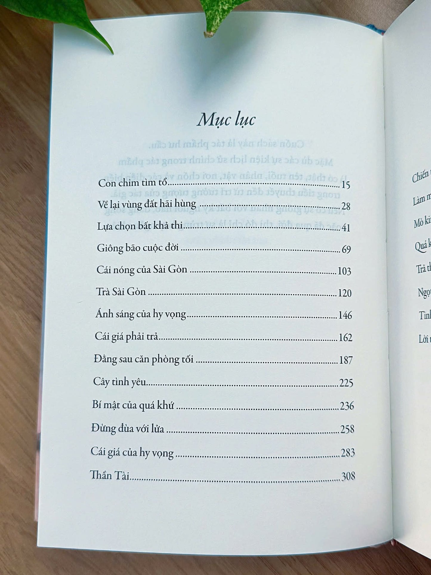 PRE-ORDER: Đời gió bụi, Translation of Dust Child – VietCan Books